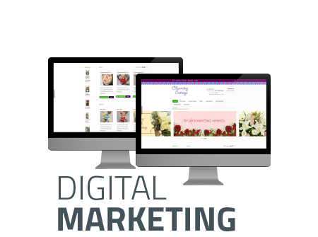 MS Media Pte Ltd | Your Preferred Digital Partner‎